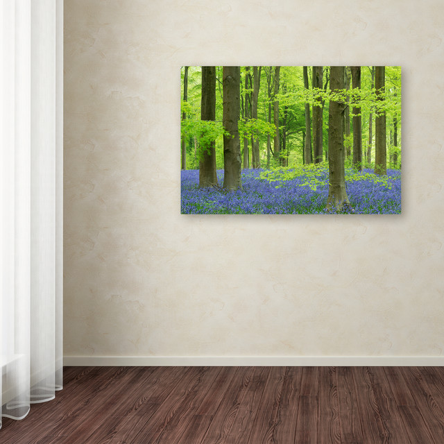 Adam Burton 'Woodland Realms' Canvas Art, 19"x12" - Contemporary ...