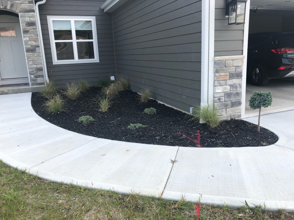 front yard driveway landscaping with Japanese maple
