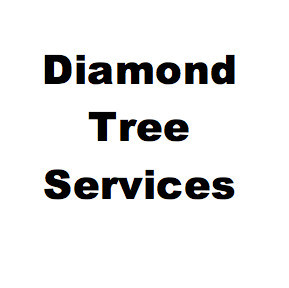 DIAMOND TREE SERVICES - Project Photos & Reviews - Summerfield, FL US | Houzz