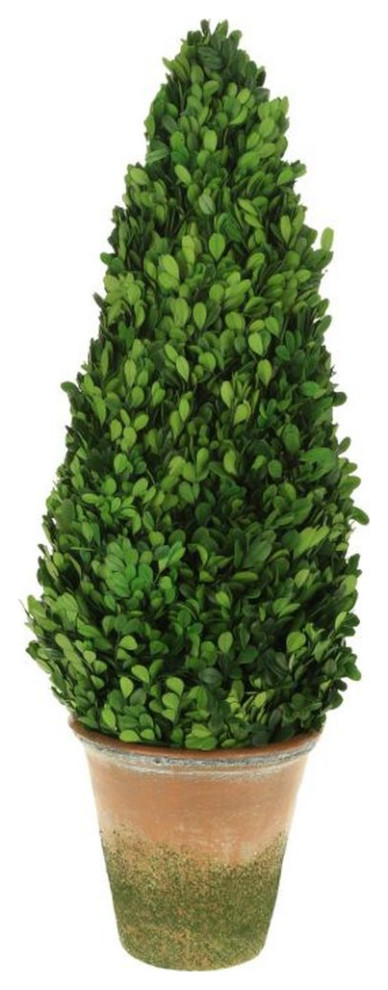 Mark Roberts 2020 Boxwood Topiary Cone, 31" - Contemporary - Artificial ...