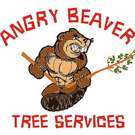 ANGRY BEAVER TREE SERVICE - Project Photos & Reviews - Youngstown, NY ...