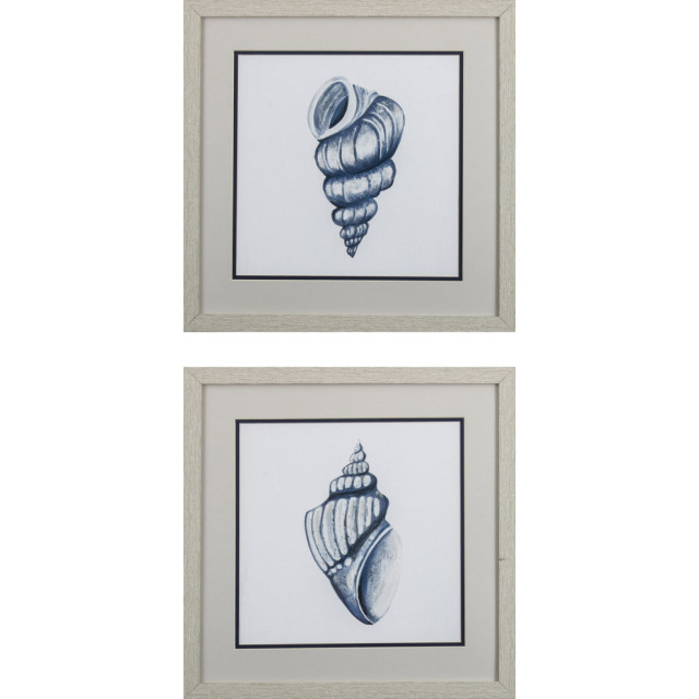 Naut Shells Linen A Wall Art, 2-Piece Set - Beach Style - Prints And ...