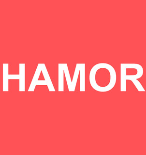 HAMOR - Project Photos & Reviews - stowe, VT US | Houzz