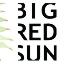 BIG RED SUN - Project Photos & Reviews - Santa Monica, US | Houzz