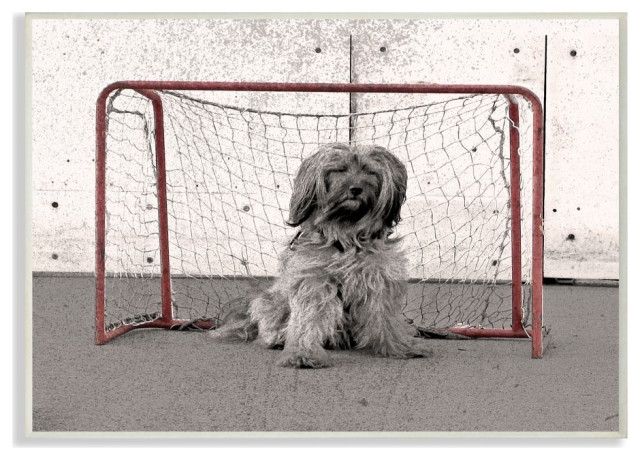 Hockey Goalie Sports Dog Pet Animal Collage Design, 16"x20", 10x15 ...