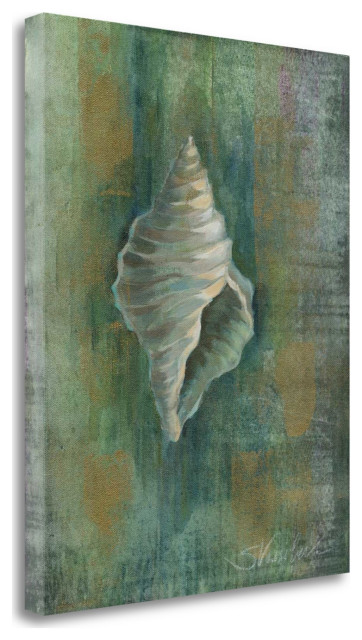 45" Blue and Green Seashell Giclee Wrap Canvas Wall Art - Beach Style ...