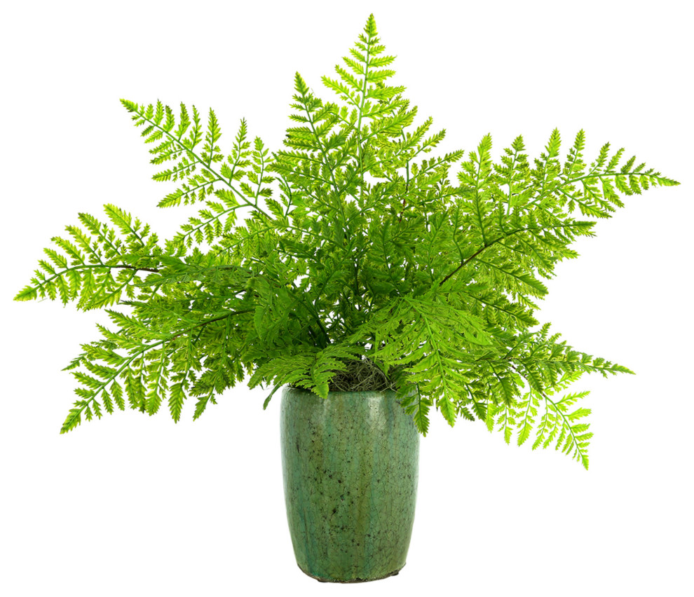 Organic Modern Fern Arranged in a Ceramic Pot - Artificial Flower ...