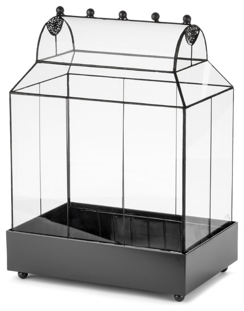 Plant Terrarium Glass Container, Wardian Case - Traditional ...