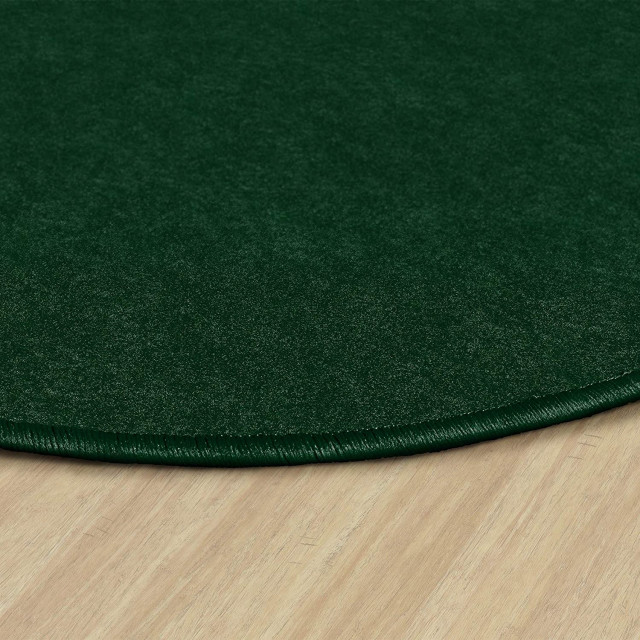 Flagship Carpets TS-45EG Amerisoft Emerald Green, 7'6x12 - Contemporary ...