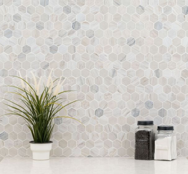 Angora 11.75X12 Hexagon Polished Marble Mosaic - Traditional - Tile ...