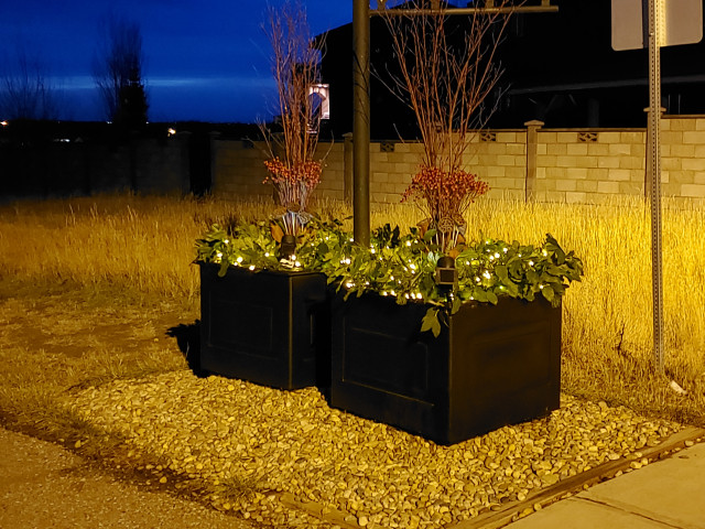 Desert Blume Seasonal Planters and Entry Feature - Contemporary ...