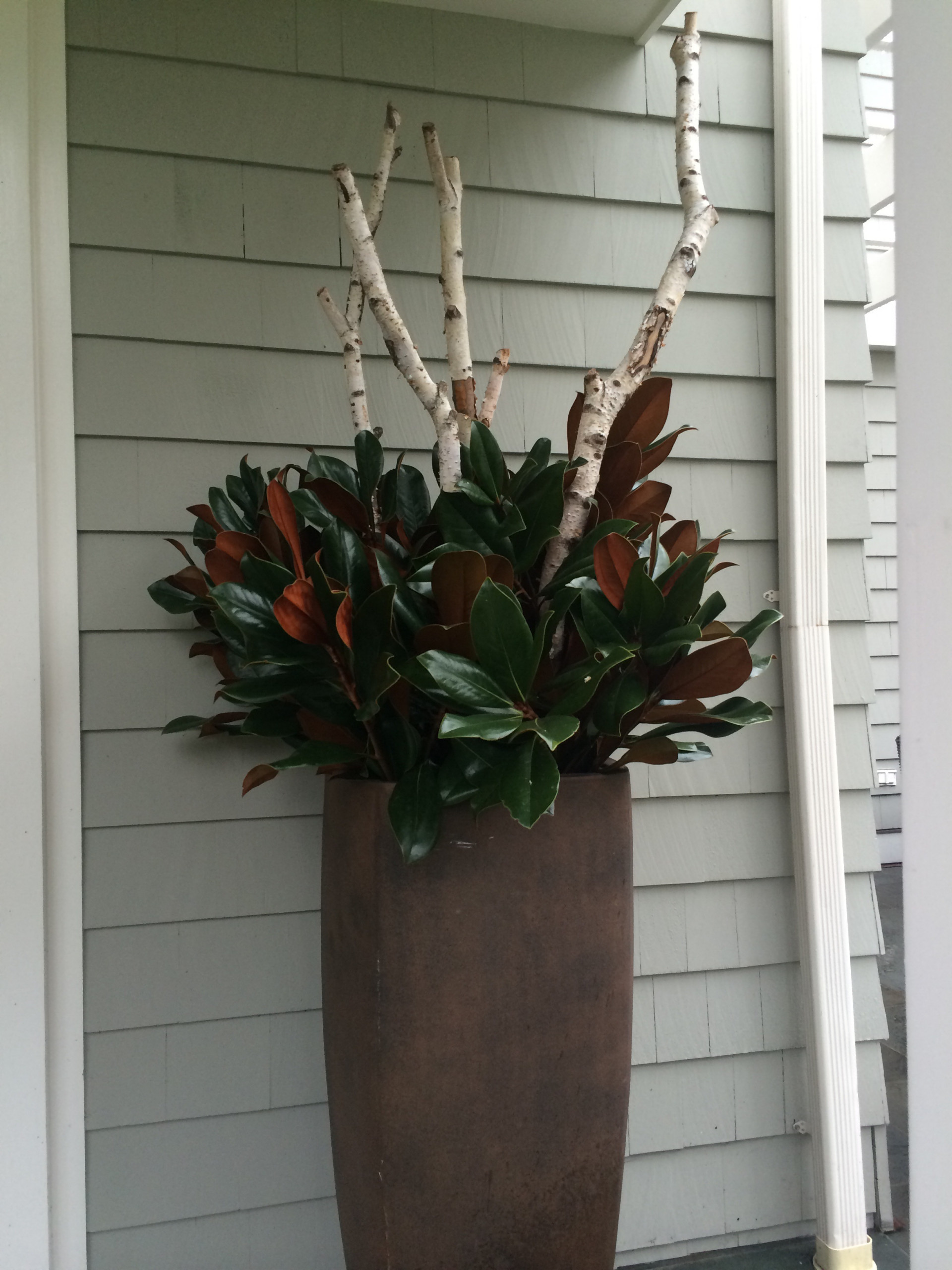 10 Dazzling Winter Container Designs