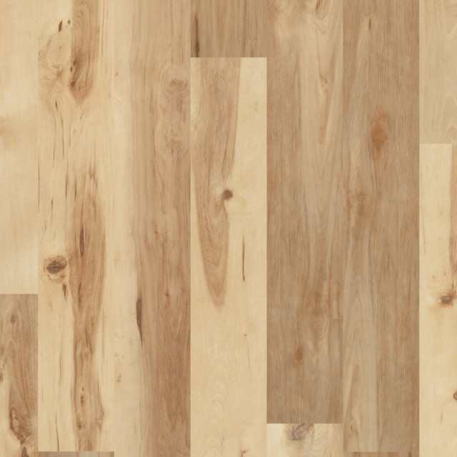 COREtec Pro Plus XL Havanna Hickory VV490-01650 SPC Vinyl Flooring ...