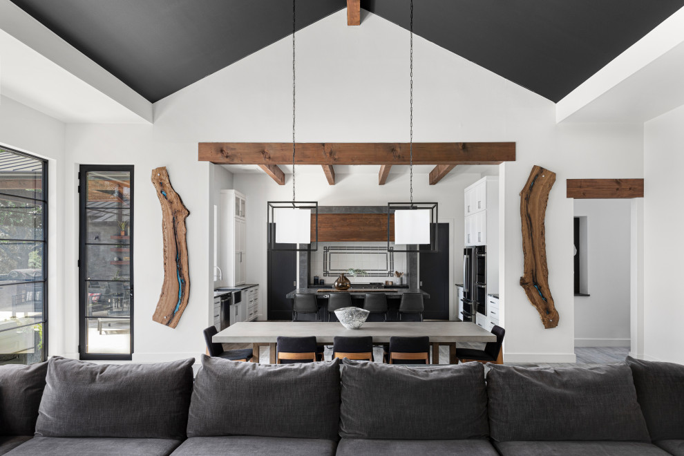 Organic Modern Great Room - Modern - Living Room - Austin - by Kelley ...