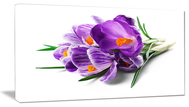"Bunch of Blooming Crocus Flowers" Wall Art Canvas, 32"x16 ...