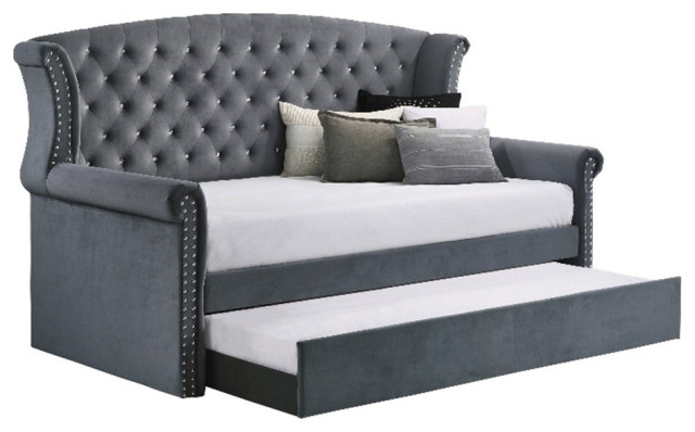 Coaster Scarlett Modern Velvet Upholstered Tufted Twin Daybed with ...