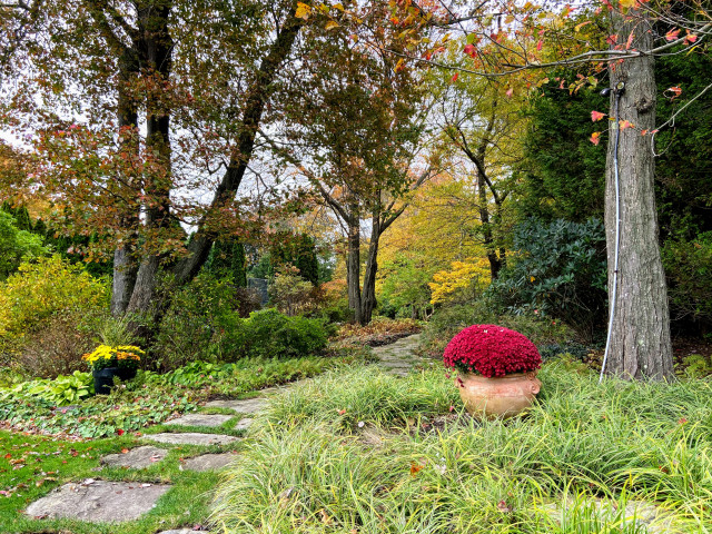 4 Elements of a Stunning Fall Garden