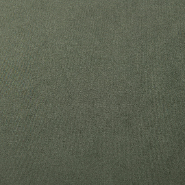 4"x 4" Fabric Swatch Sample, Sage Green Velvet - Contemporary - Fabric ...