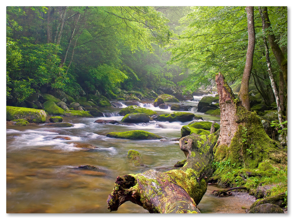 Bob Rouse 'Waterlogged' Canvas Art, 19"x14" - Rustic - Prints And ...