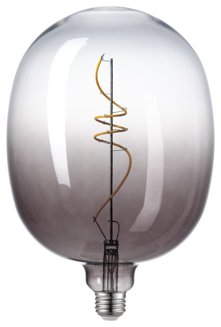 Luxe Smoked Glass Luxury Oversized 5W E26 LED Bulb - Modern - Led Bulbs ...