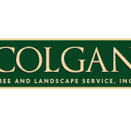 COLGAN TREE & LANDSCAPE SERVICES INC - Project Photos & Reviews - Kings ...