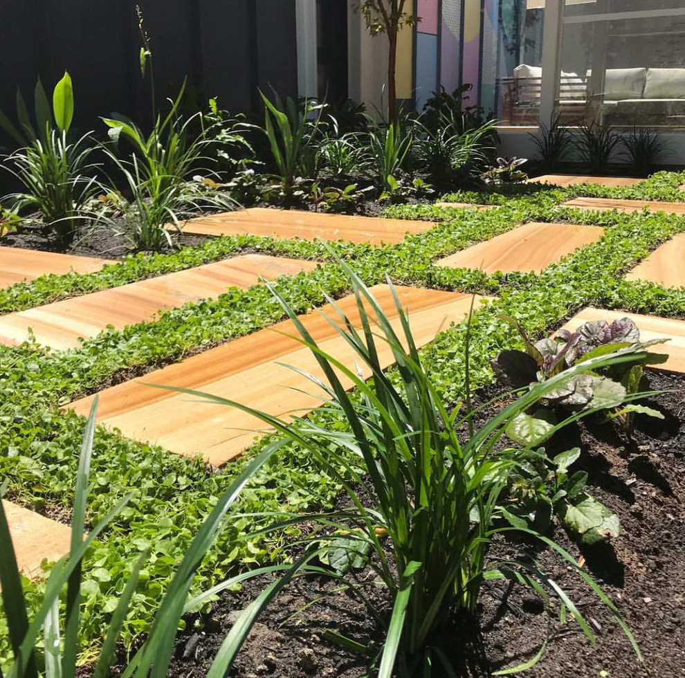 Atrium Garden - Landscape - Sydney - by FCG Landscaping | Houzz