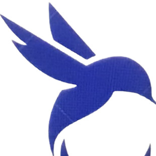 BLUEBIRD DESIGNS - Project Photos & Reviews - Richardson, US | Houzz