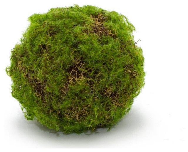 Moss Ball, Set of 4, 4.75"D Plastic - Contemporary - Artificial Plants ...