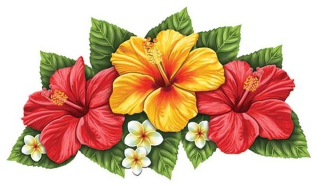 Triple Hibiscus Flower Porcelain Swimming Pool Mosaic, 18"x10 ...