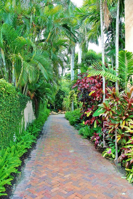 Tropical Landscape Design - Tropical - Garden - Miami - by Knoll ...