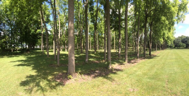 Black Walnut Tree Farm - New Owner | Houzz Forum