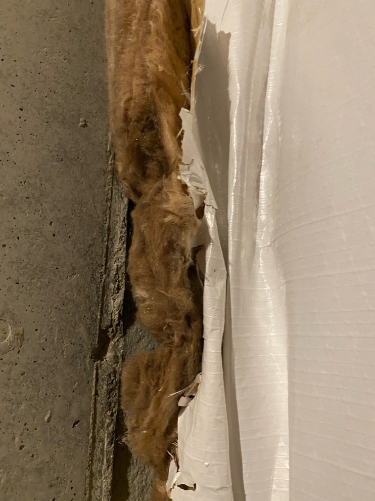 Brown insulation in basement