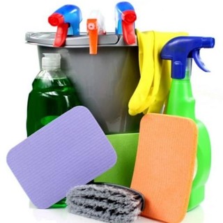 BIG GREEN CLEANING SERVICE - Project Photos & Reviews - Philadelphia ...