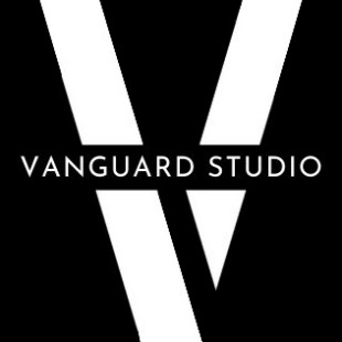 VANGUARD STUDIO INC. - Project Photos & Reviews - Austin, TX US | Houzz