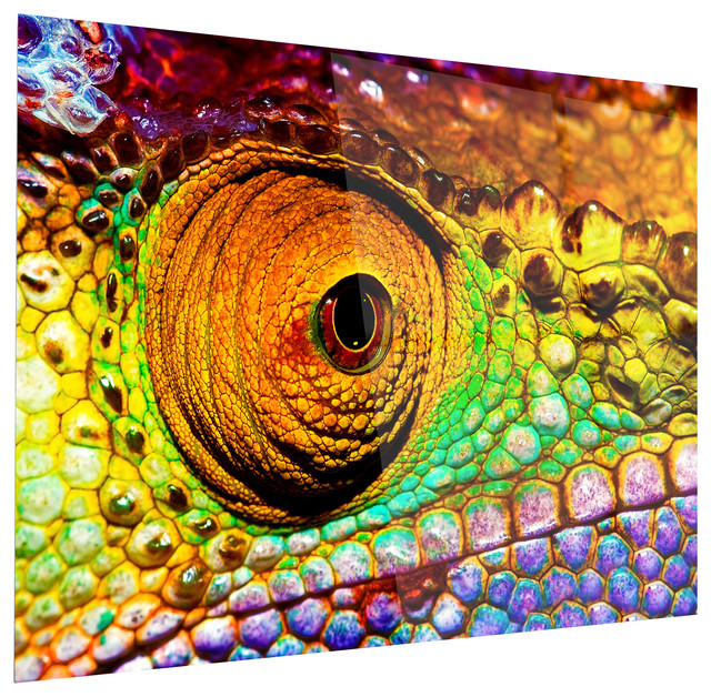"Multicolor Scaly Skin of Lizard", 48"x40" - Contemporary - Metal Wall ...