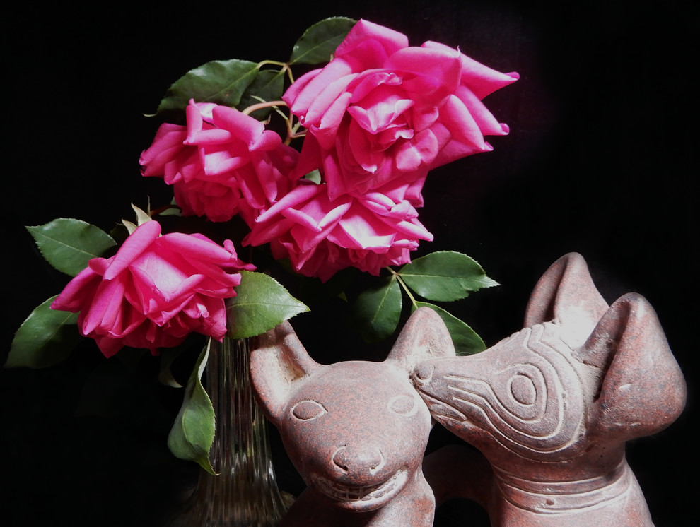 'Lady Ann Kidwell' Again