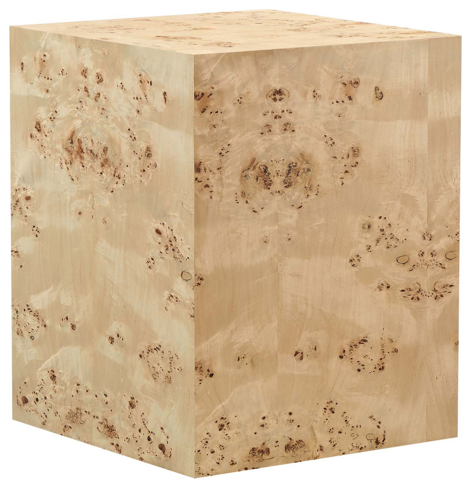 Cosmos 16" Square Burl Wood Side Table, Natural Burl - Transitional ...