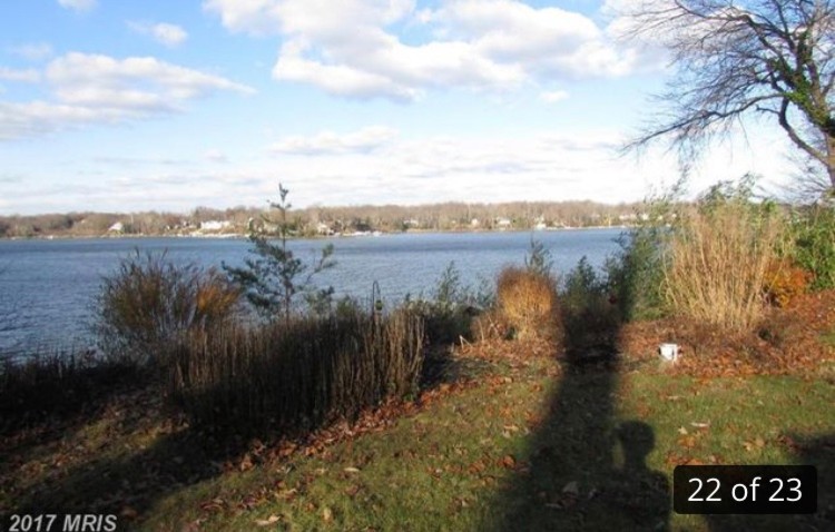 Waterfront Fencing Options