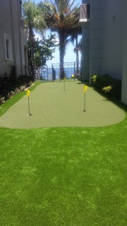 Landscapes - Modern - Landscape - Tampa - by Beach Bum Turf Co.