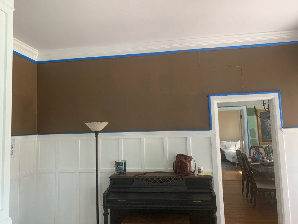 Big Whoops: Start over or do try to cover with another coat of paint?