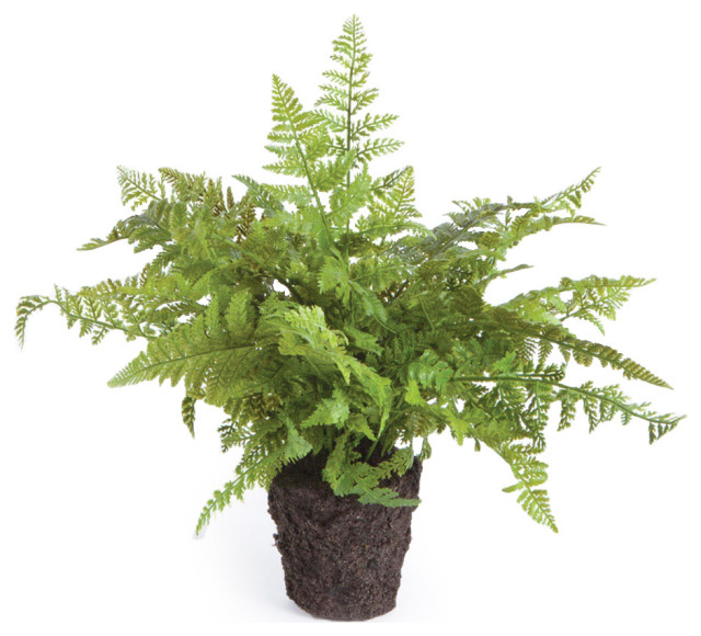 Soft Fern Drop-In 10.5" - Artificial Plants And Trees - by Napa Home ...