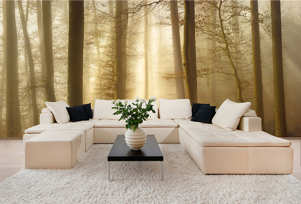 Inspirational Wall Murals - Other - by Limitless Walls | Houzz