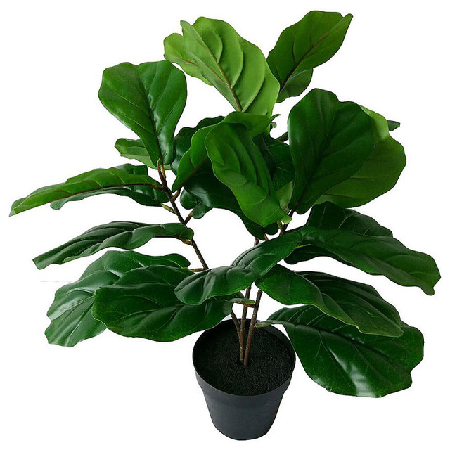 Potted Fiddle Leaf Tree 22x22x24" - Tropical - Artificial Plants And ...