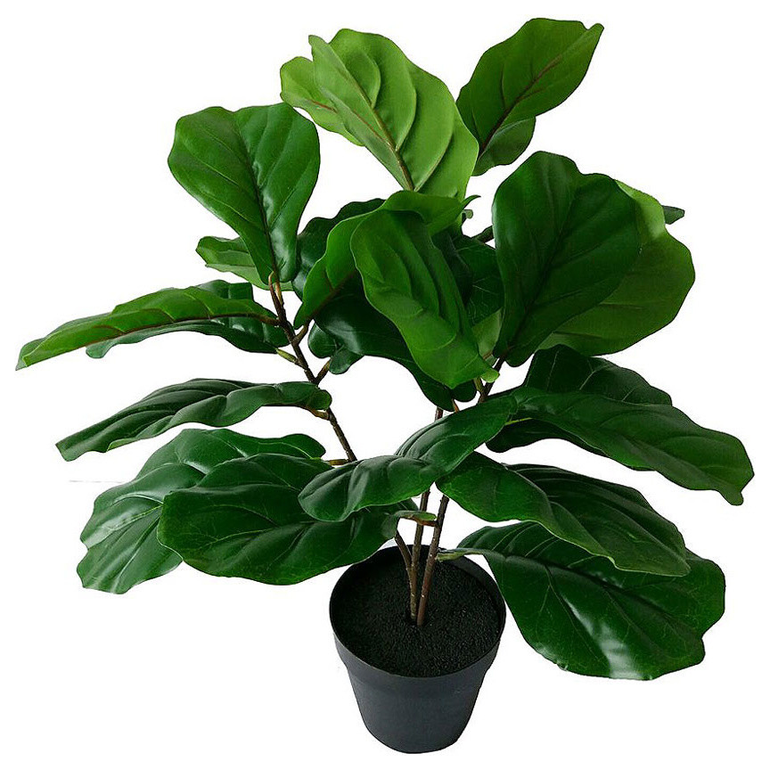 Potted Fiddle Leaf Tree 22x22x24" - Tropical - Artificial Plants And ...