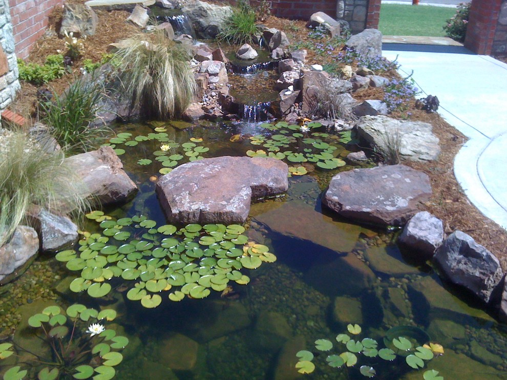 Ecosystem Ponds and Water Gardens By Continental Ponds - Traditional ...