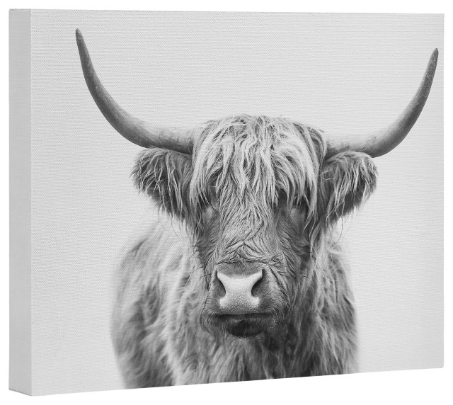 Sisi and Seb Highland Bull Art Canvas, 16x20 - Southwestern - Prints ...