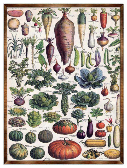 Root Vegetables Wall Decor Wooden Kids Room Decor Classroom Decor ...