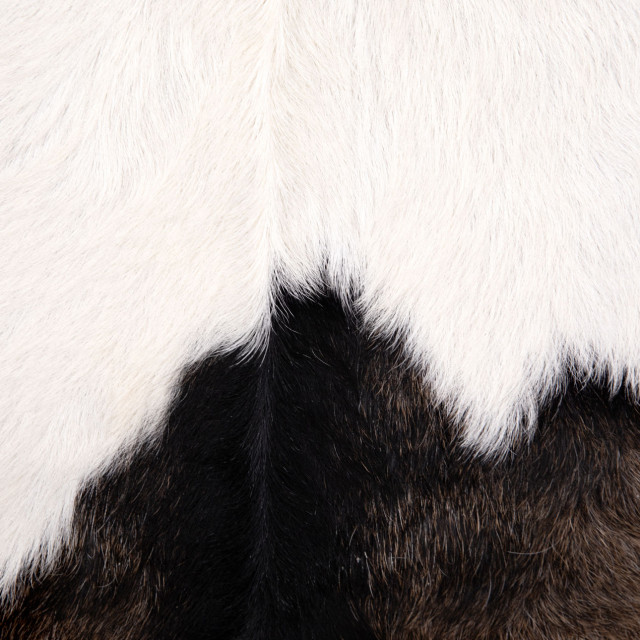 Brown & White Deco Cow Chair - Southwestern - Armchairs And Accent ...