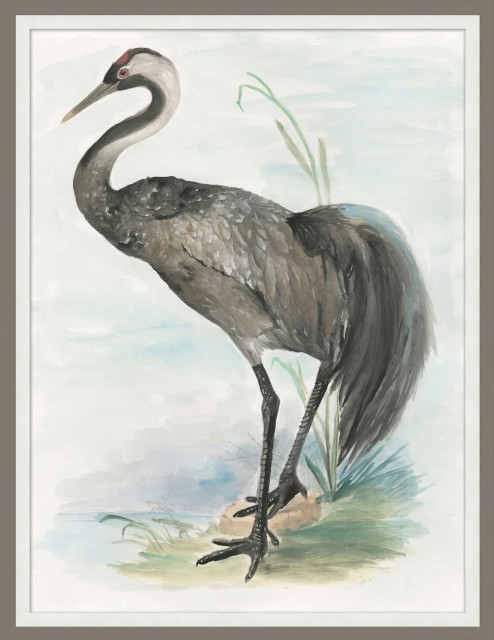 Waterbird 4, Giclee Reproduction Artwork, 33.5x43.5 - Beach Style ...