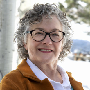 BETH LEVINE ARCHITECT, INC. - Project Photos & Reviews - Avon, CO US ...